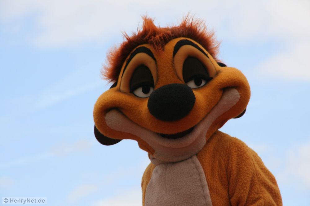 Disneyland Paris - Timon Foto & Bild | europe, france, paris Bilder auf ...