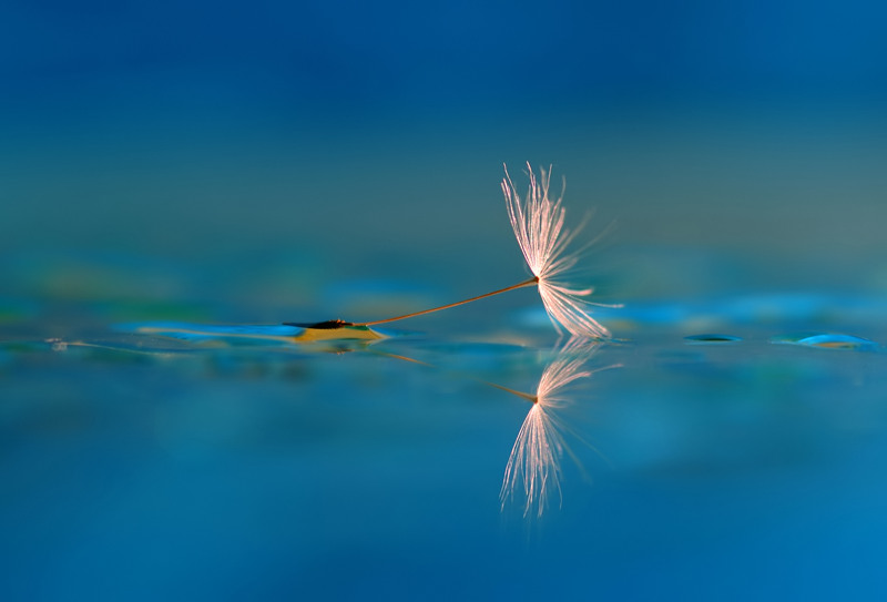 Disperso... Foto % Immagini| still life, soggetti Foto su fotocommunity