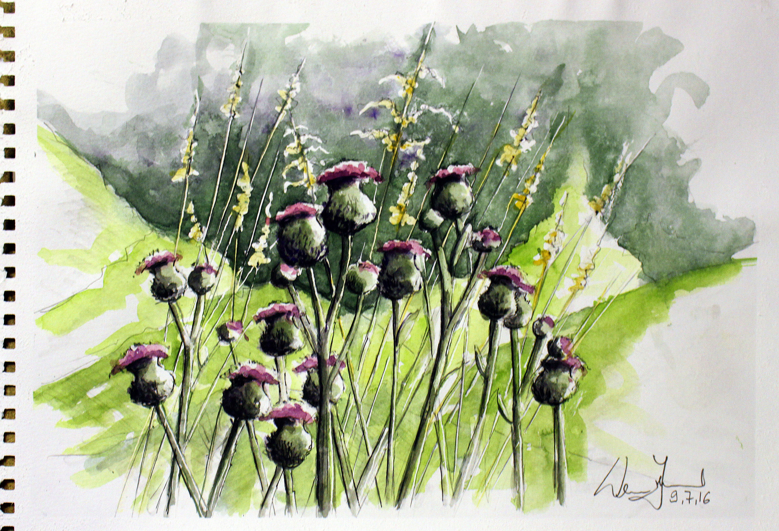 Disteln .... Foto & Bild | grafik, aquarell, zeichnen Bilder auf ...