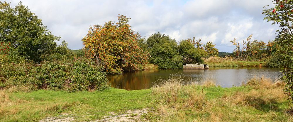 Dlouhy ryb (der lange Fisch) auf der böhmischen Seite von Zinnwald ...