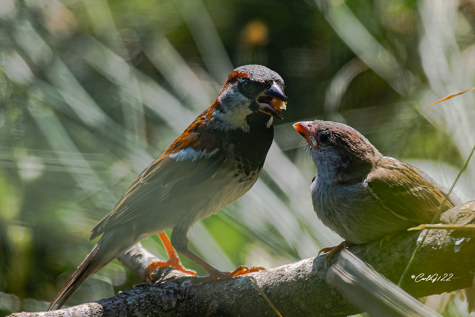 Doku Reihe Mutter mit Kind..1 Foto & Bild | natur, tiere, wildlife ...