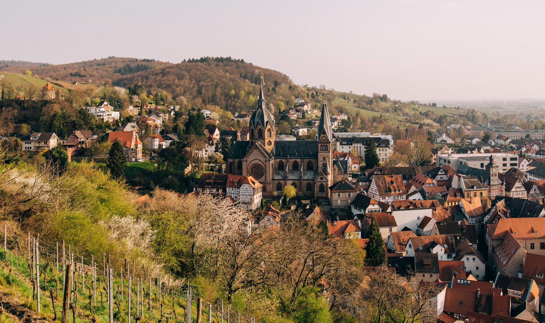Dom der Bergstrasse Heppenheim 2020 Foto & Bild | architektur ...