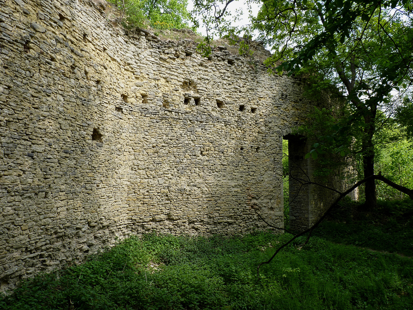 Domburg im Hakel Foto & Bild | deutschland, europe, sachsen- anhalt ...