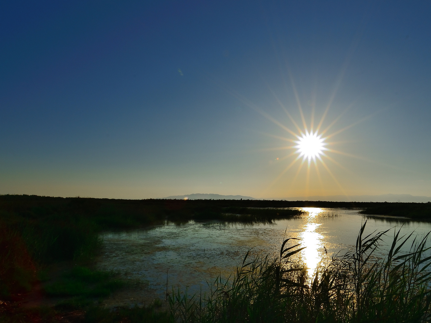 Domingo con sol, So mit Sonne, Sunday with sun, Foto & Bild | nikon ...