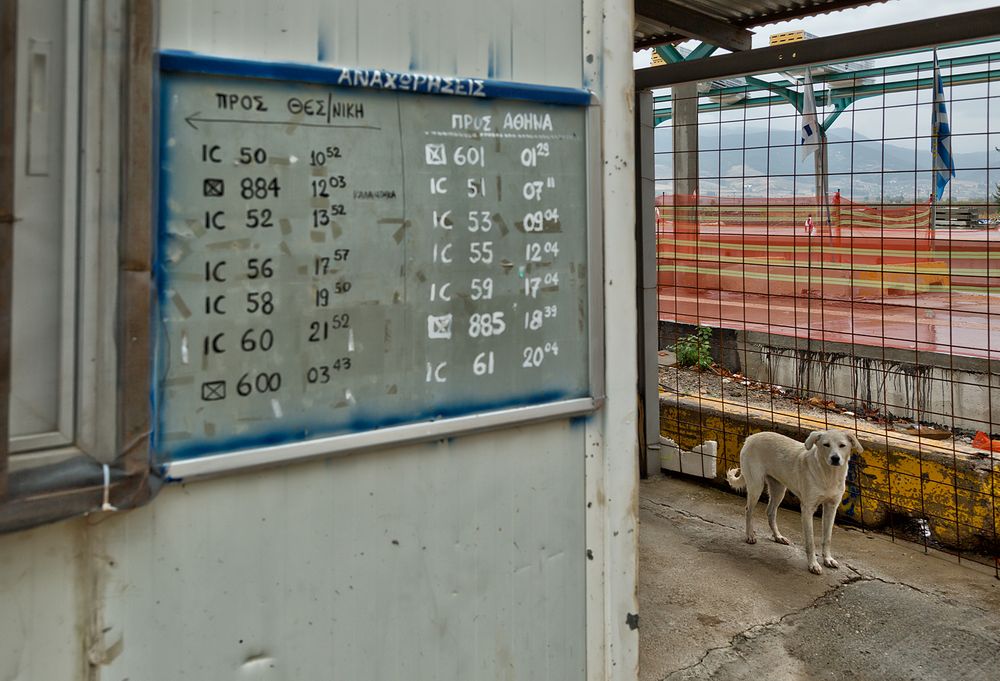 Domokos Foto & Bild | europe, greece, tiere Bilder auf fotocommunity