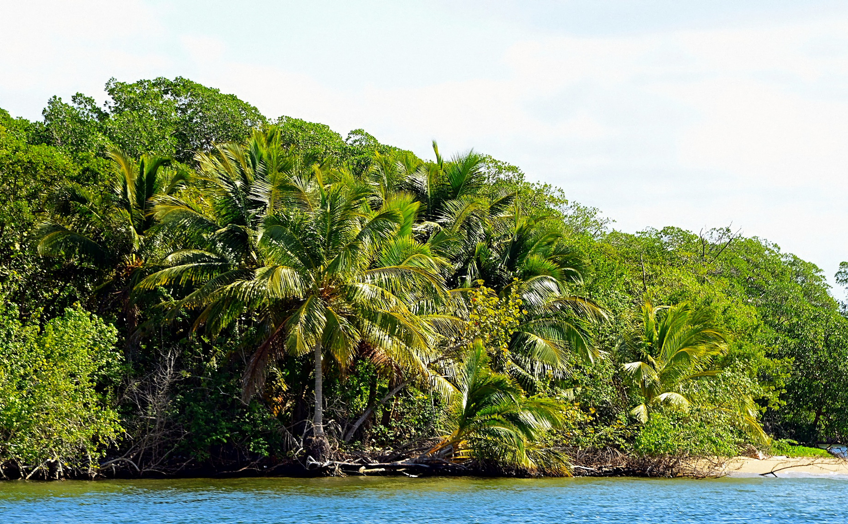 Dom_Rep_2 Foto & Bild | north america, central america, caribbean sea ...