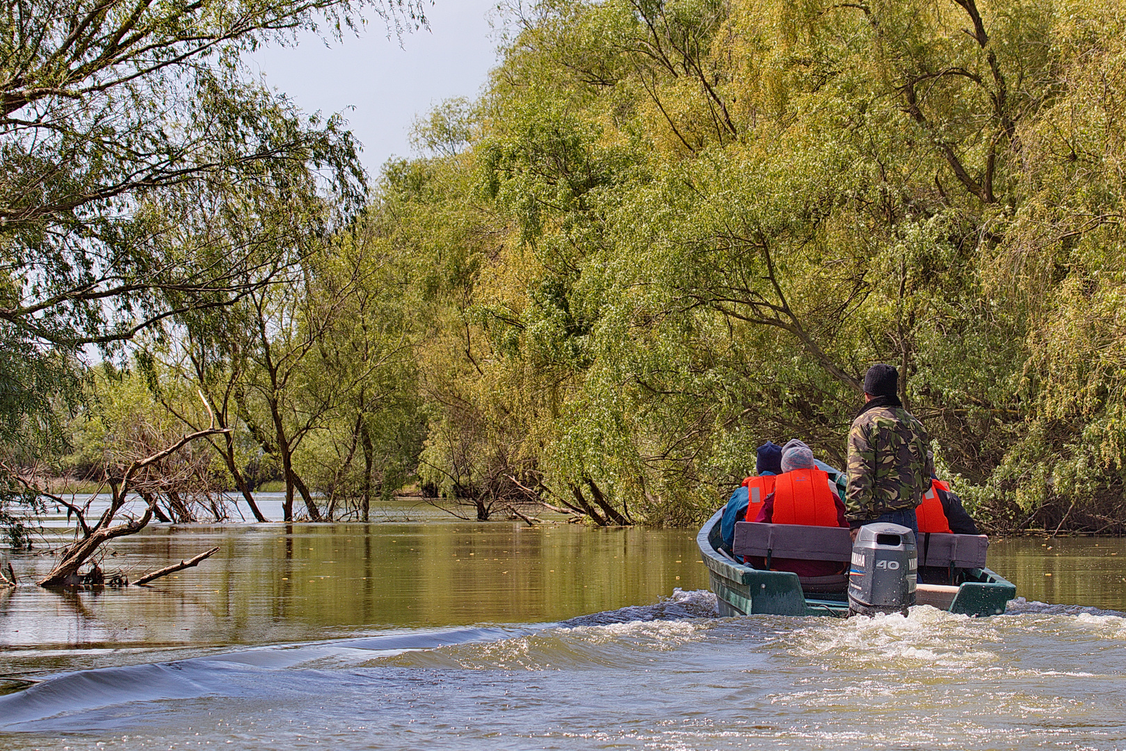 Donaudelta-Bootsfahrt Foto & Bild | landschaft, bach, fluss & see ...