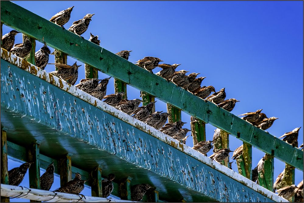 Donnerbalken Foto & Bild | architektur, deutschland, europe Bilder auf ...