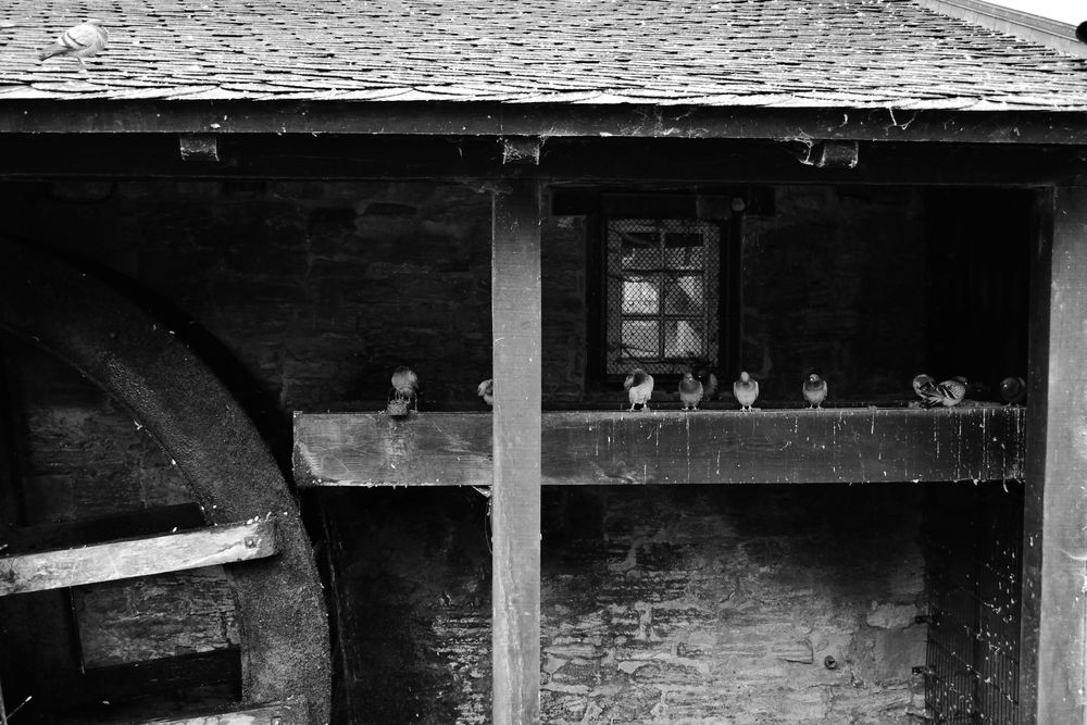 Donnerbalken Foto & Bild | hochzeit, street, dokumentation Bilder auf ...