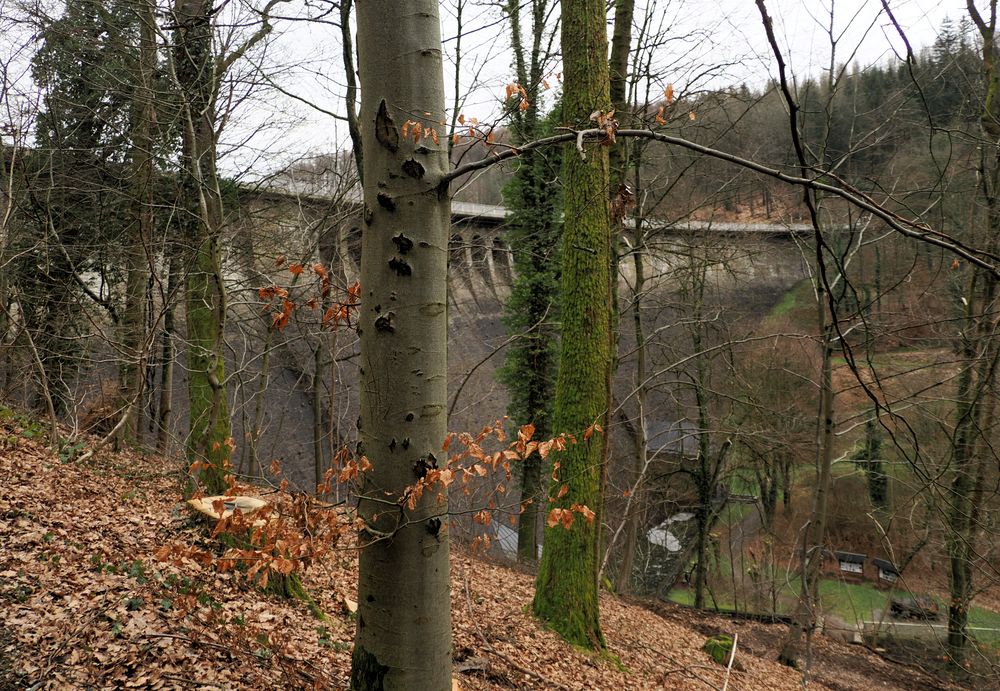 Donnerstag mit Durchblick … Foto & Bild | spezial, architektur, durchblick Bilder auf fotocommunity