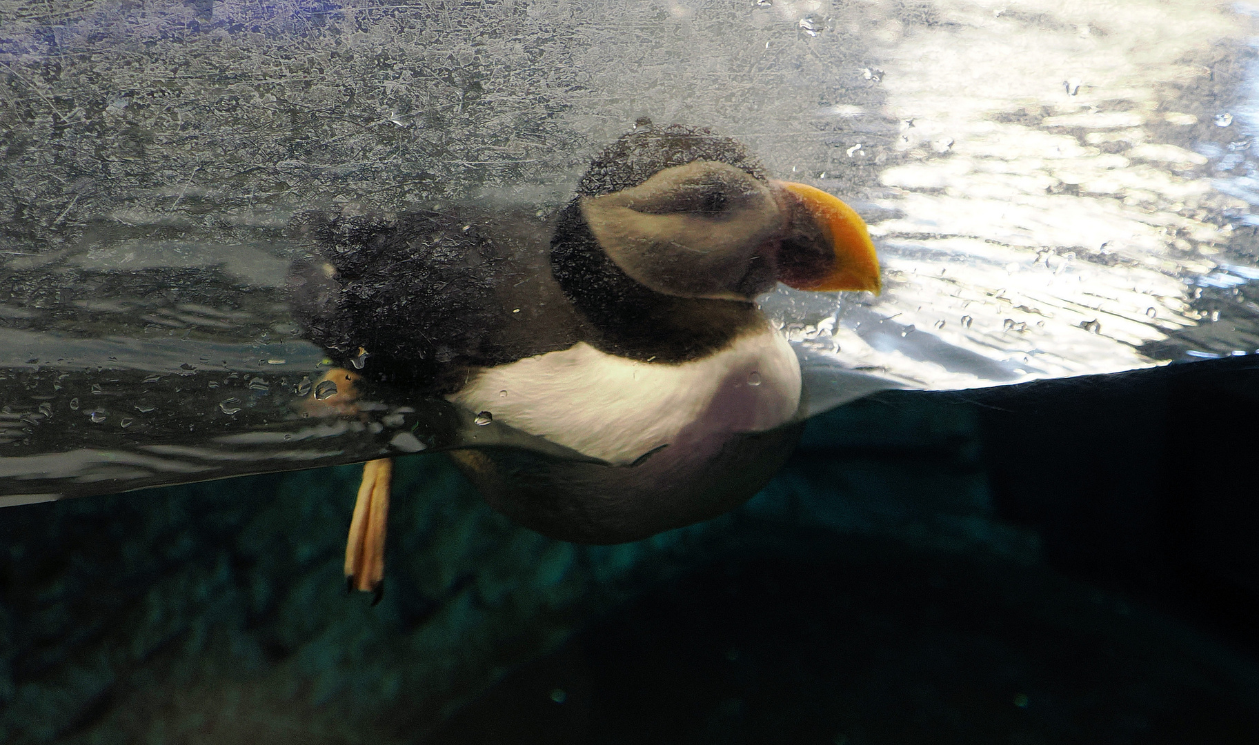 Donnerstag mit Durchblick.. Foto & Bild | fotos, spezial, durchblick Bilder auf fotocommunity