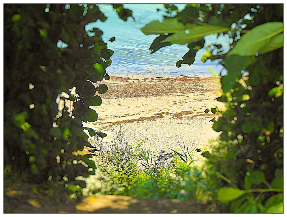 Donnerstag mit Durchblick 11.08.22 Foto & Bild | deutschland, europe, schleswig- holstein Bilder ...