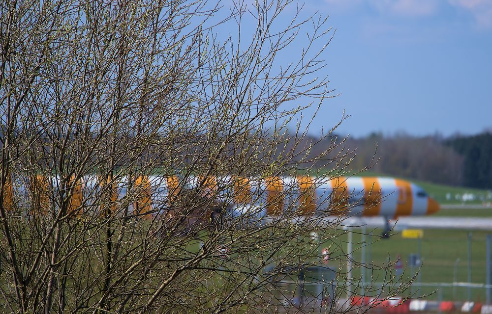 Donnerstag mit Durchblick Foto & Bild | projekte, 4 - donnerstag mit durchblick, thementage ...