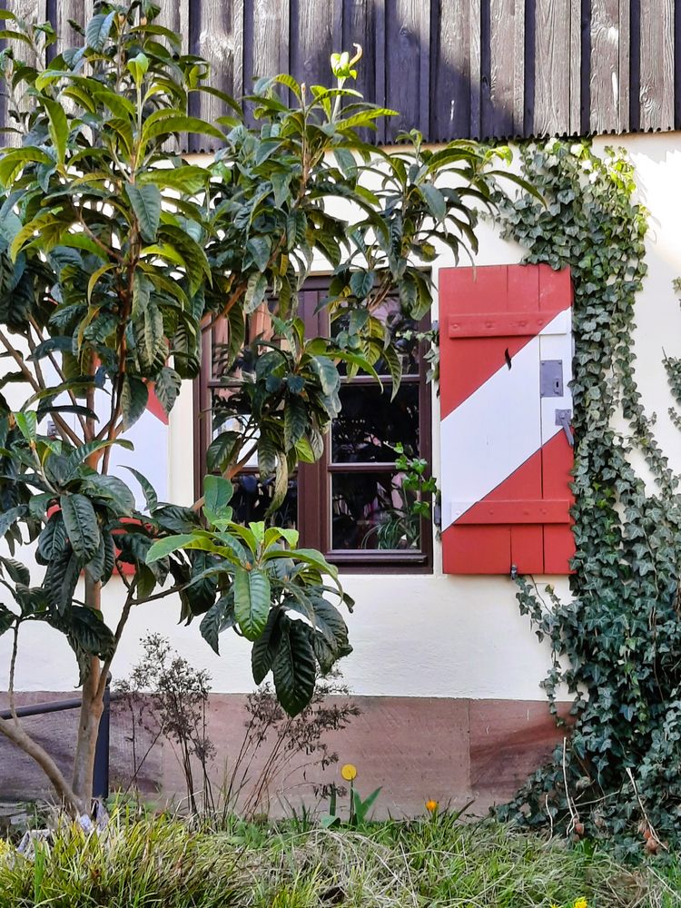 Donnerstag mit Durchblick Foto & Bild | architektur, projekte, architektonische details Bilder ...