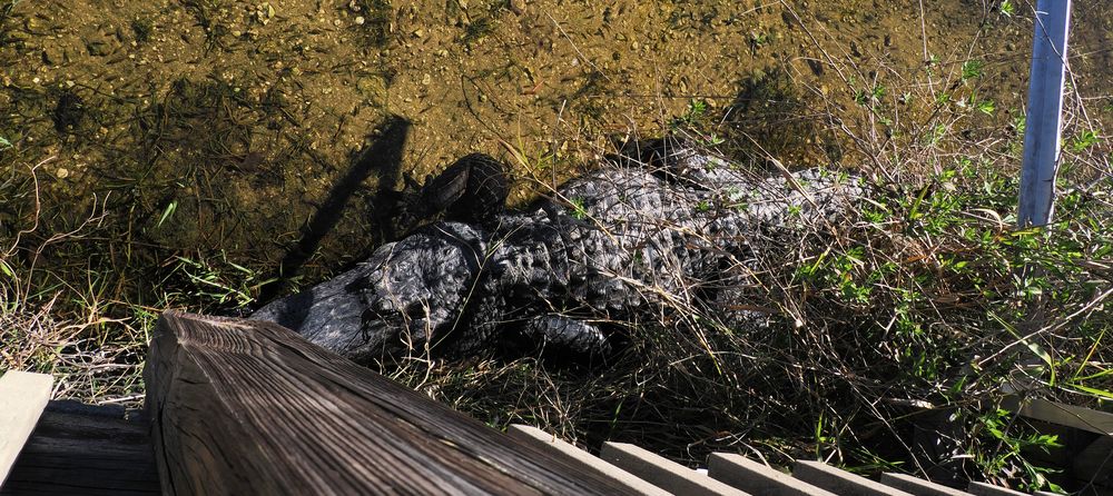 Donnerstag mit Durchblick… Foto & Bild | spezial, durchblick, projekte Bilder auf fotocommunity