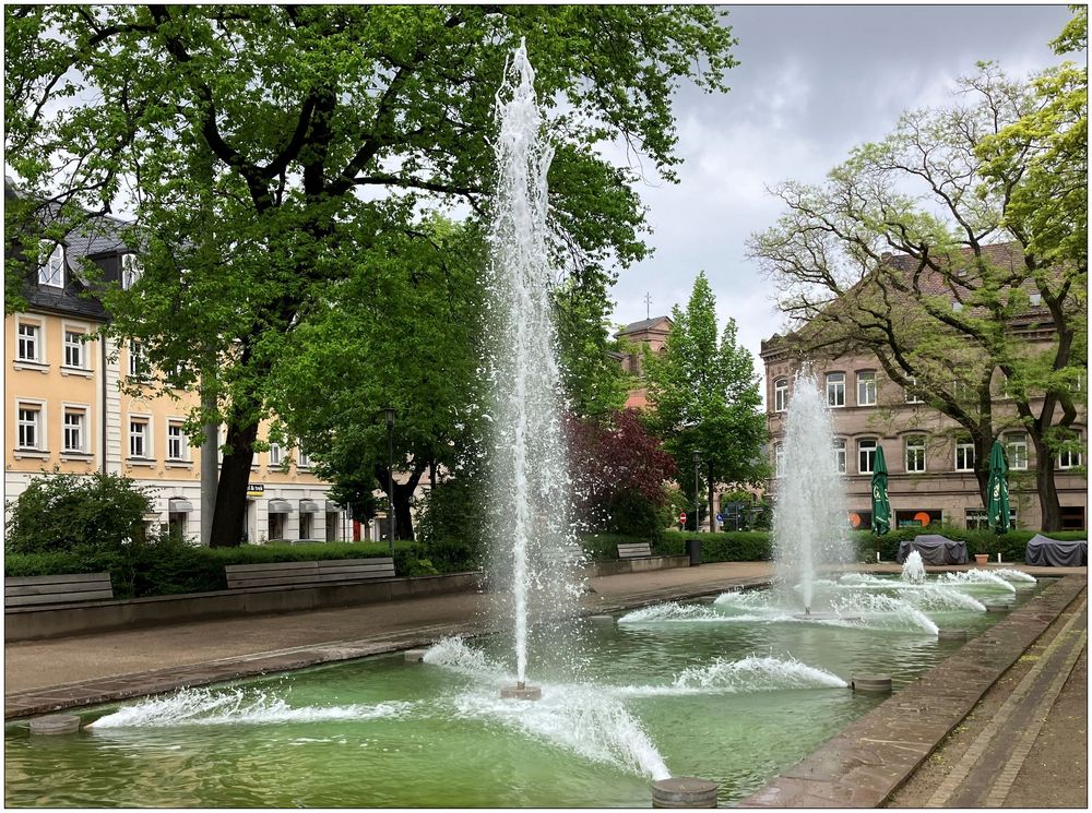 Donnerstag mit Durchblick 22.06.23 Foto & Bild | spezial, wasser, bäume Bilder auf fotocommunity
