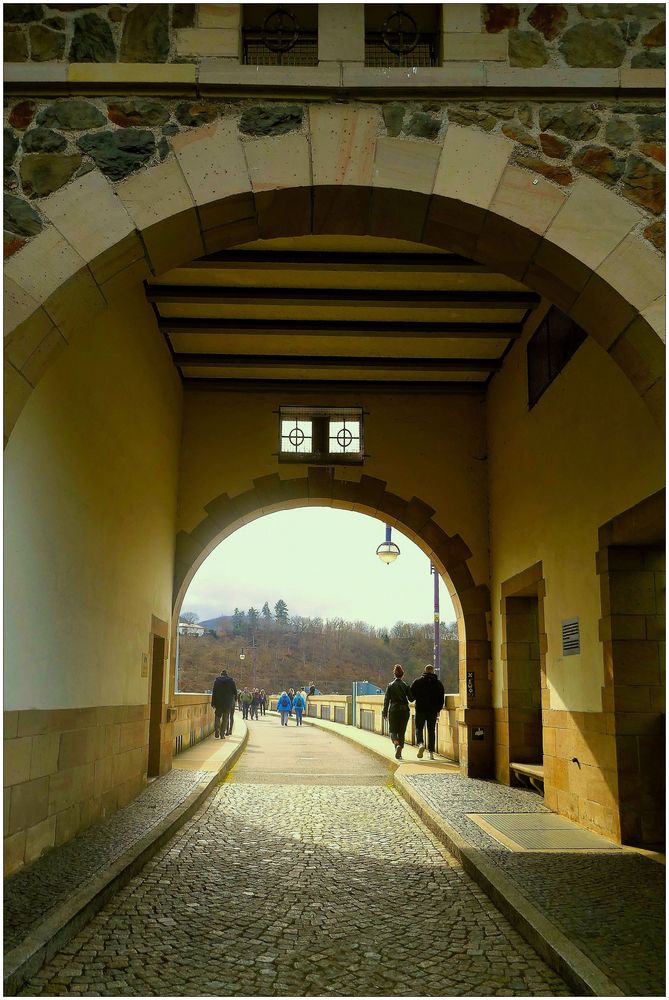 Donnerstag mit Durchblick 23.03.23 Foto & Bild | spezial, fenster, bäume Bilder auf fotocommunity