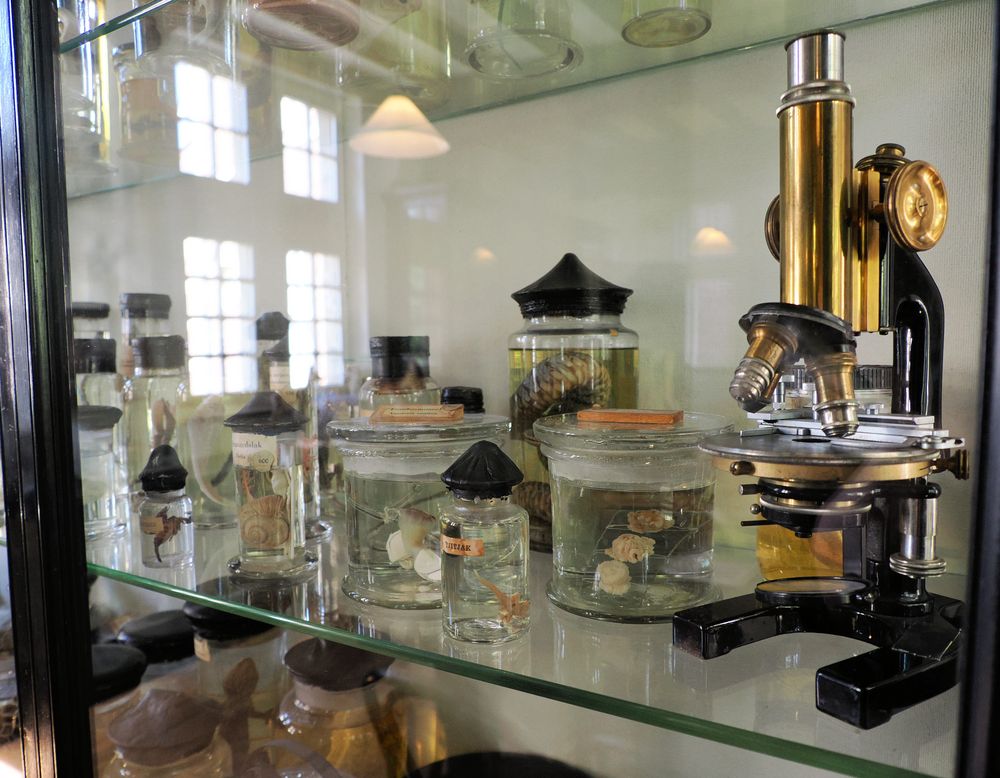 Donnerstag mit Durchblick.. Foto & Bild | spezial, durchblick, projekte Bilder auf fotocommunity