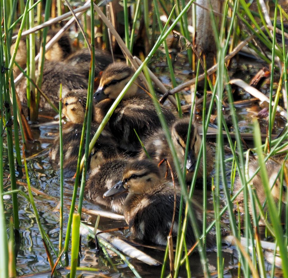 Donnerstag mit Durchblick… Foto & Bild | spezial, durchblick, motive Bilder auf fotocommunity