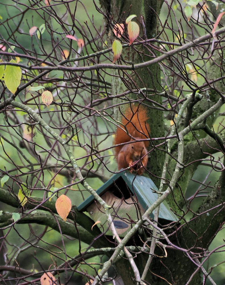 Donnerstag mit Durchblick…. Foto & Bild | spezial, durchblick, projekte Bilder auf fotocommunity