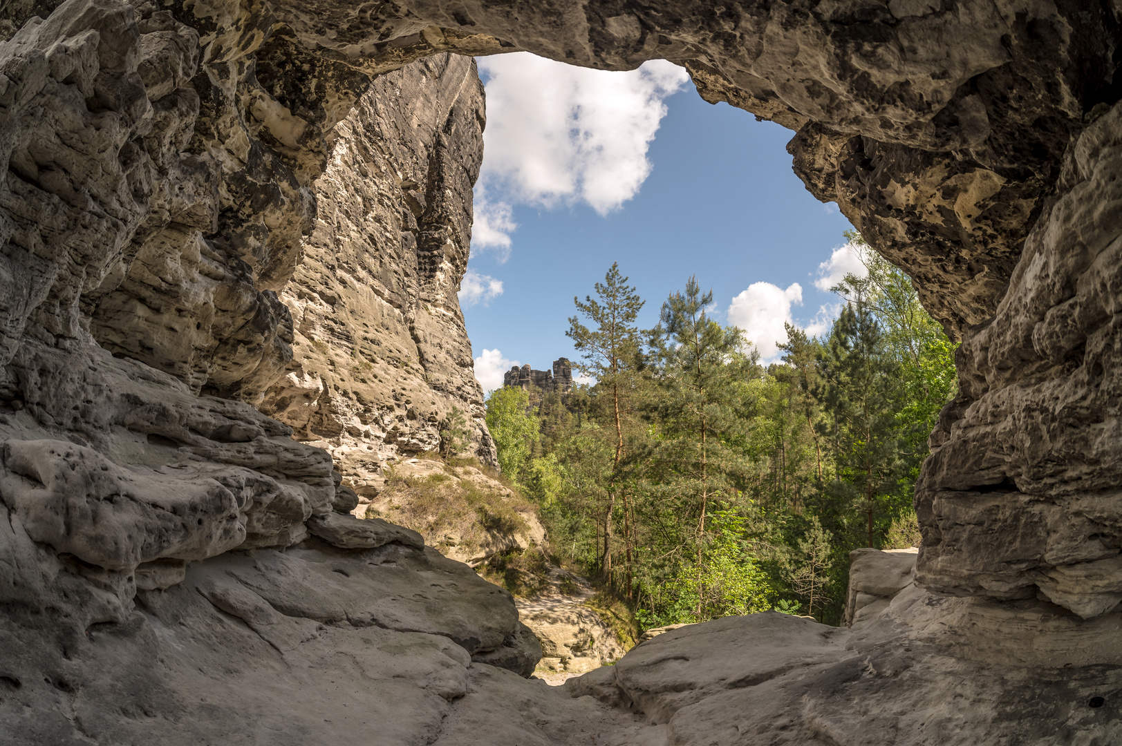donnerstag mit durchblick......... *** Foto & Bild | deutschland, europe, sachsen Bilder auf ...