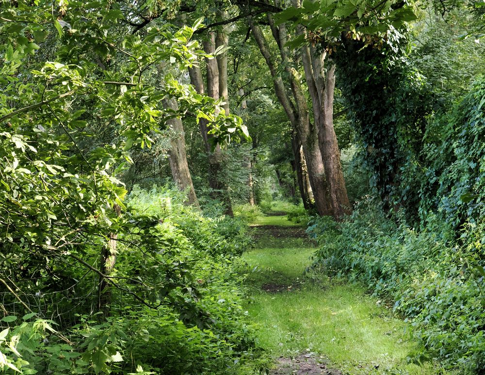 Donnerstag mit Durchblick… Foto & Bild | fotos, spezial, durchblick Bilder auf fotocommunity