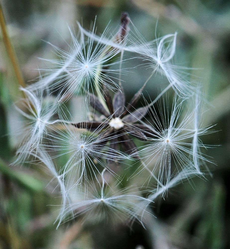 Donnerstag mit Durchblick… Foto & Bild | spezial, natur, durchblick Bilder auf fotocommunity