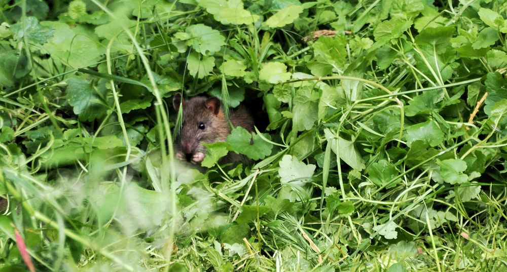 Donnerstag mit Durchblick… Foto & Bild | spezial, durchblick, projekte Bilder auf fotocommunity