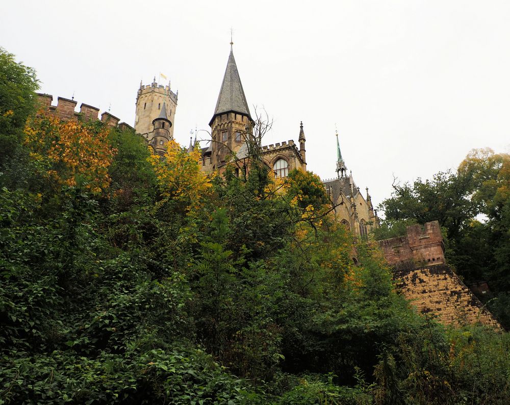 Donnerstag mit Durchblick… Foto & Bild | spezial, motive, projekte Bilder auf fotocommunity