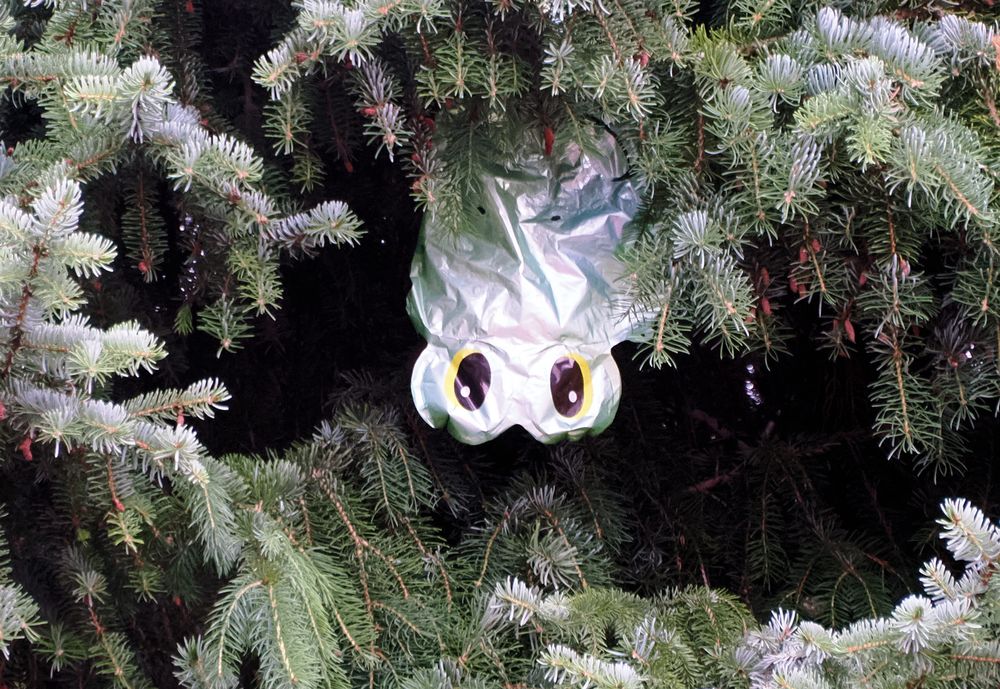 Donnerstag mit Durchblick… Foto & Bild | spezial, durchblick, projekte Bilder auf fotocommunity