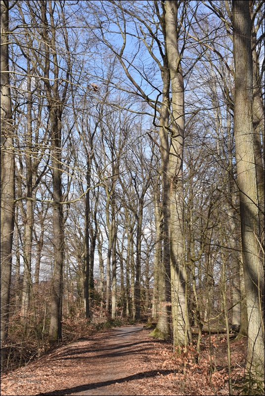 * Donnerstag mit Durchblick * Foto & Bild | landschaft, lebensräume, projekte Bilder auf ...