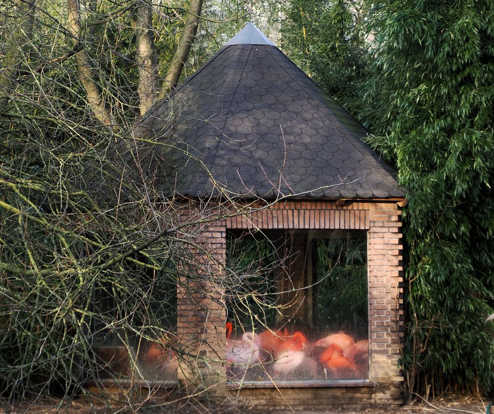 Donnerstag mit Durchblick… Foto & Bild | spiegelung, durchblick, projekte Bilder auf fotocommunity