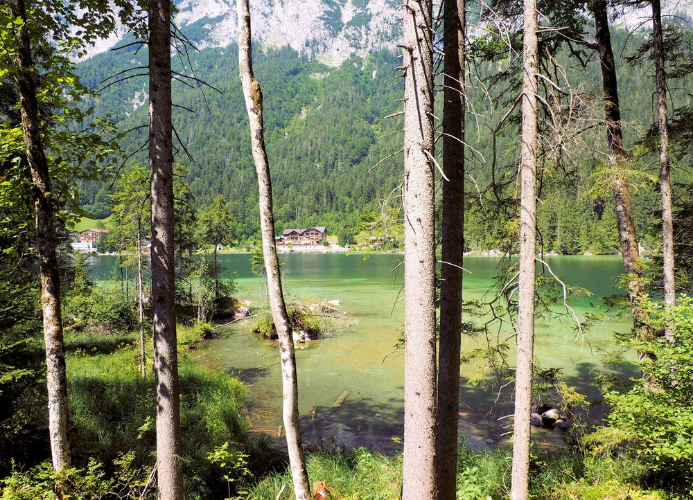 Donnerstag mit Durchblick…. Foto & Bild | spezial, durchblick, projekte Bilder auf fotocommunity