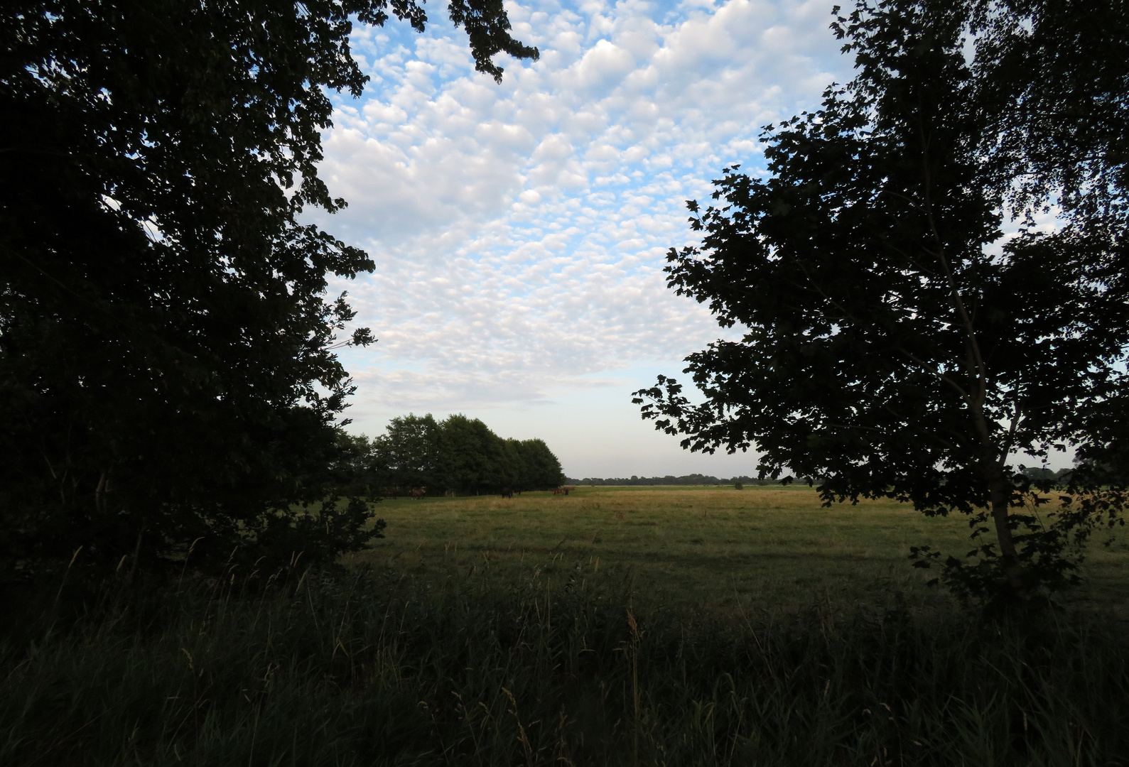 ~ Donnerstag mit Durchblick ~ Foto & Bild | nature, world, outdoor Bilder auf fotocommunity