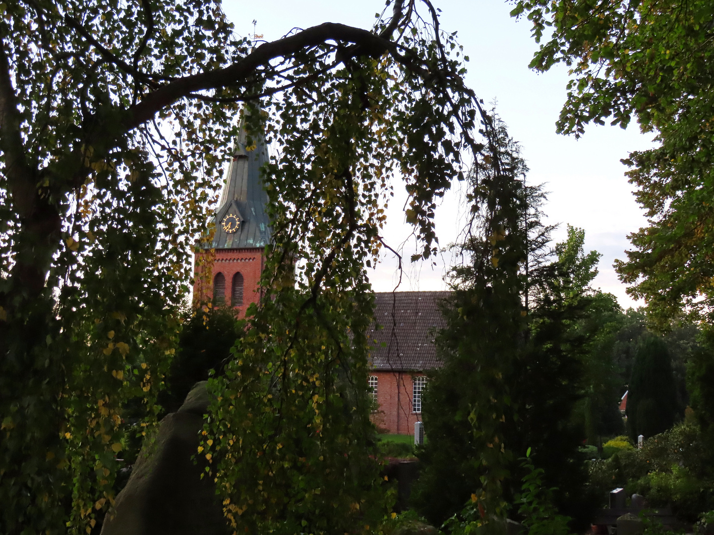 Donnerstag mit Durchblick Foto & Bild | nature, world, spezial Bilder auf fotocommunity