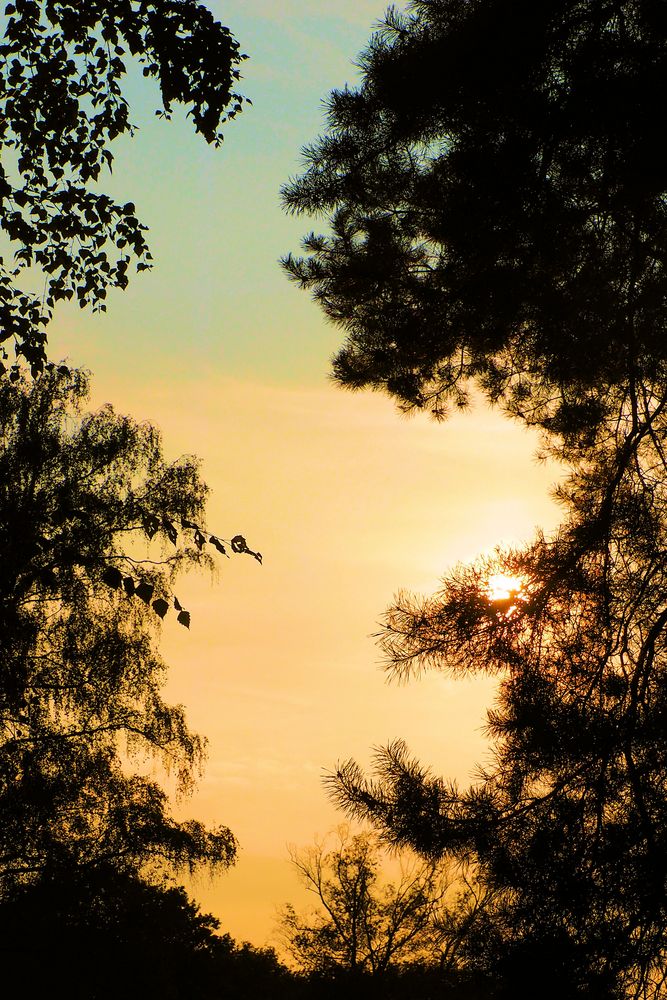 Donnerstag mit Durchblick Foto & Bild | fotos, spezial, durchblick Bilder auf fotocommunity