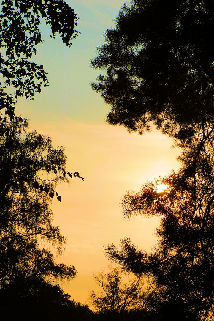 Donnerstag mit Durchblick Foto & Bild | fotos, spezial, durchblick Bilder auf fotocommunity