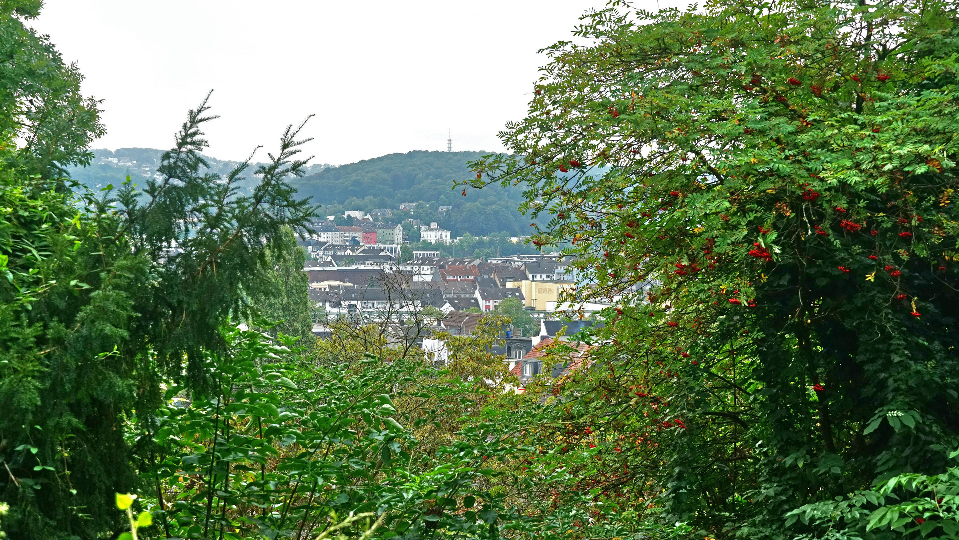 Donnerstag mit Durchblick Foto & Bild | deutschland, europe, nordrhein- westfalen Bilder auf ...