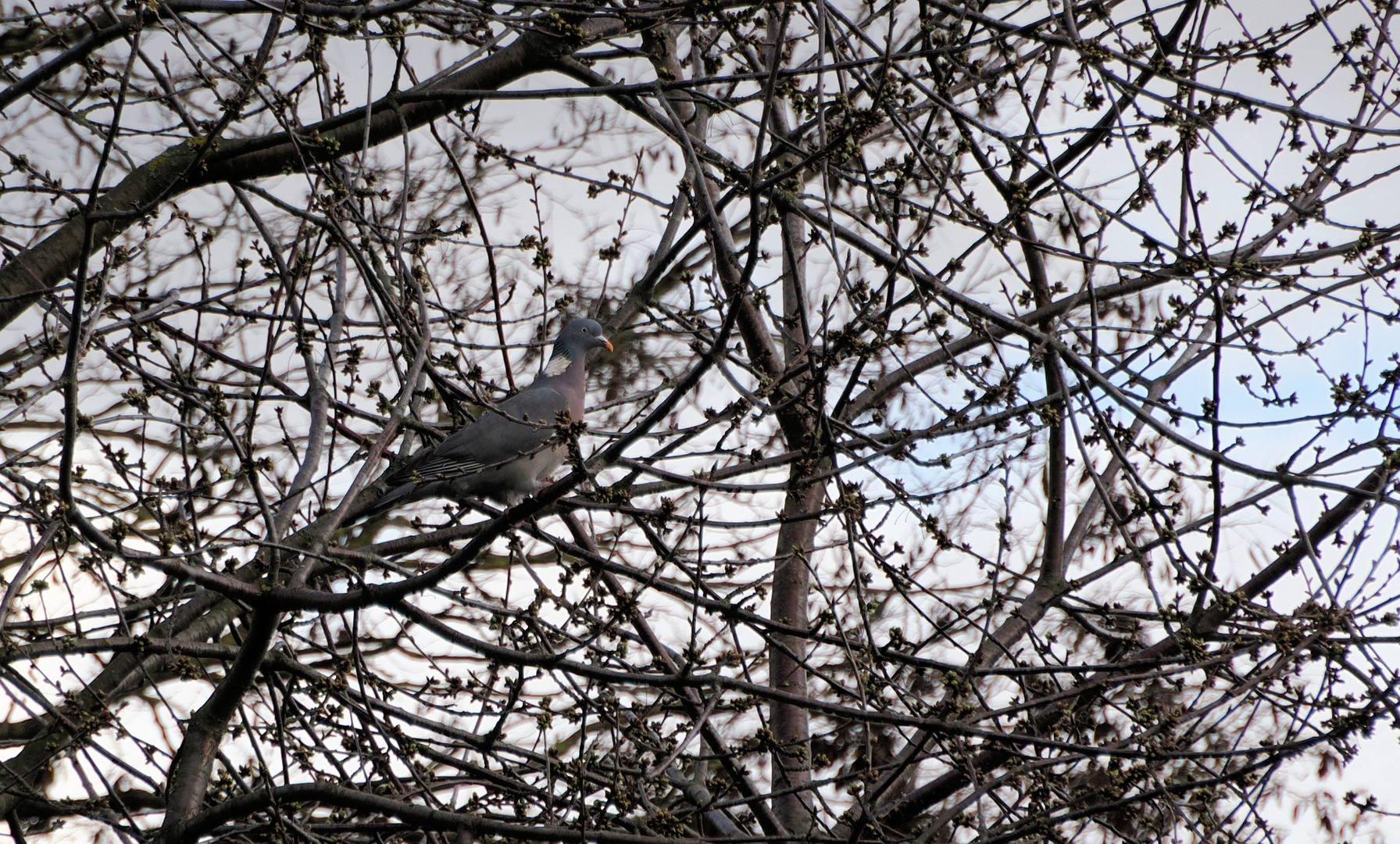 Donnerstag mit Durchblick… Foto & Bild | spezial, durchblick, motive Bilder auf fotocommunity