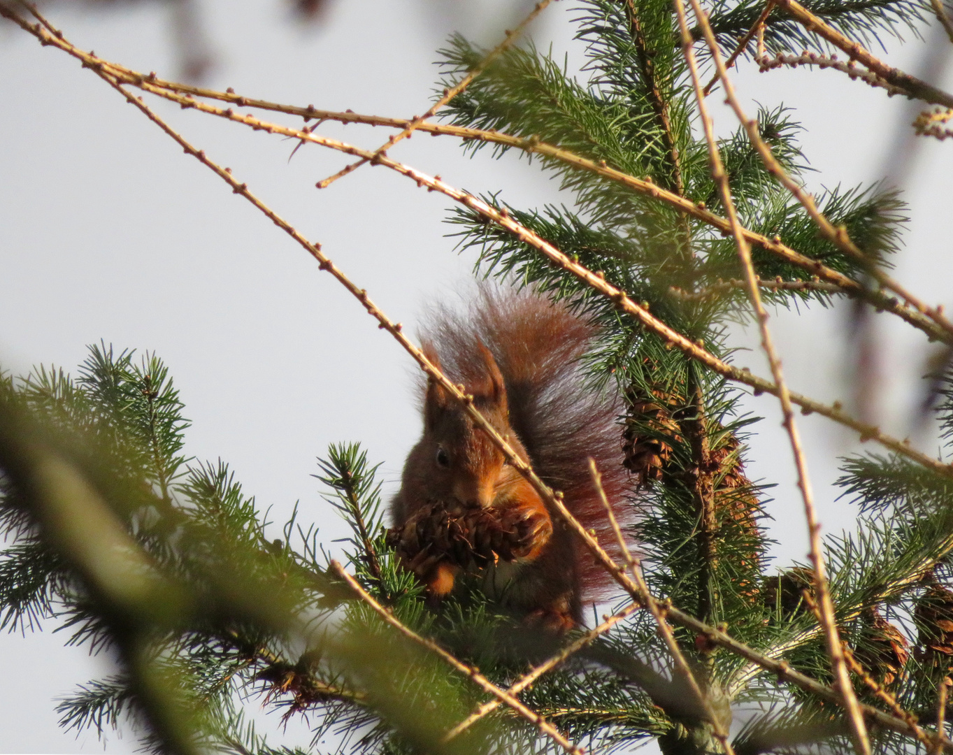 Donnerstag mit Durchblick Foto & Bild | nature, world, spezial Bilder auf fotocommunity