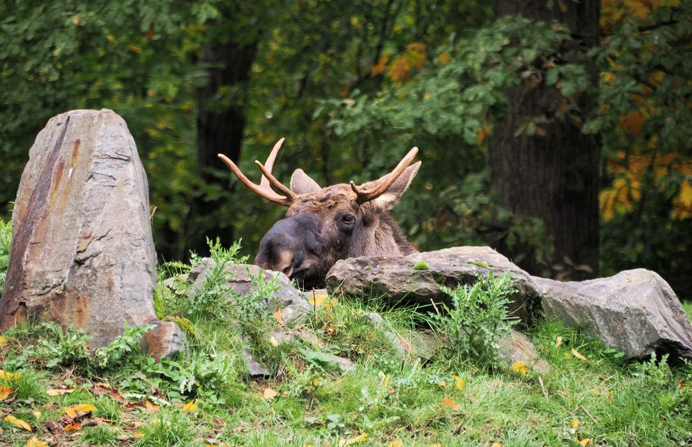 Donnerstag mit Durchblick… Foto & Bild | spezial, durchblick, projekte Bilder auf fotocommunity