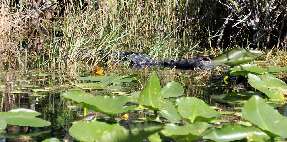 Donnerstag mit Durchblick…. Foto & Bild | spezial, durchblick, motive Bilder auf fotocommunity