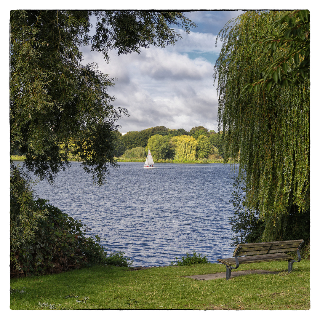 Donnerstag mit Durchblick - Alsterblick Foto & Bild | Bilder auf fotocommunity