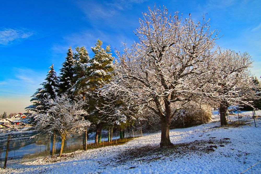 Donnerstag mit Durchblick - An einem besonderen Ort Foto & Bild | reportage dokumentation ...