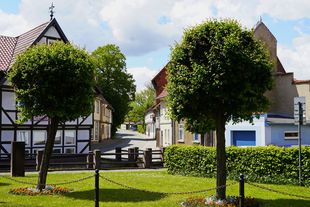 Donnerstag mit Durchblick - Blick durch die Bäume in den Knickhagen Foto & Bild | deutschland ...