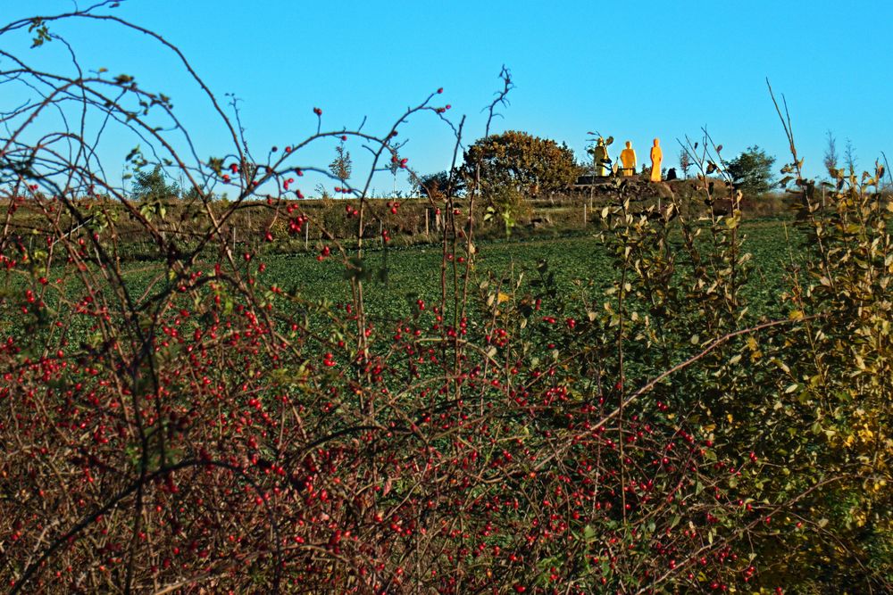 Donnerstag mit Durchblick -Blick durch die Hecke auf den Heiligenstädter Westblick Foto & Bild ...