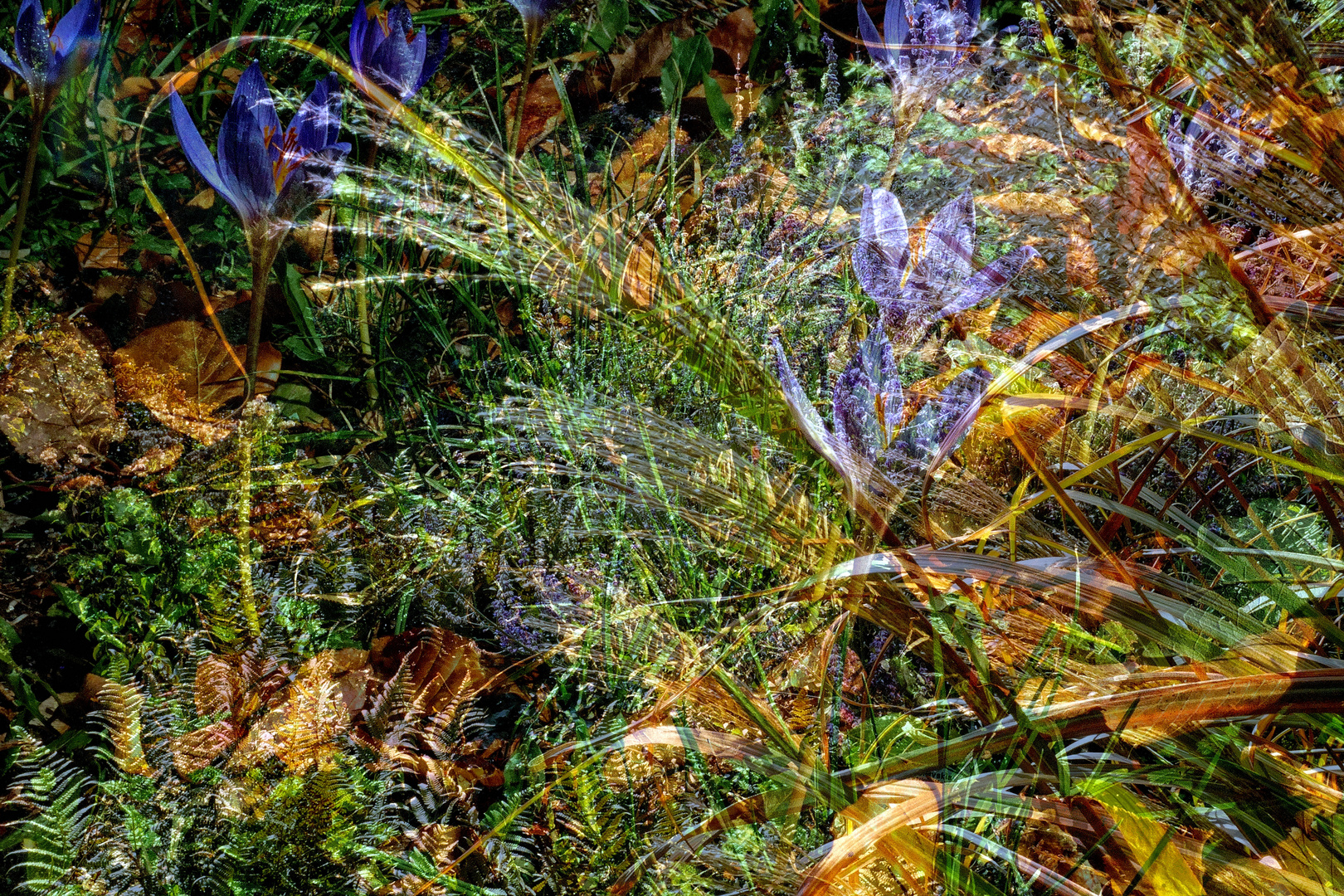 Donnerstag mit Durchblick - Blickt der Herbst schon langsam durch? Foto ...