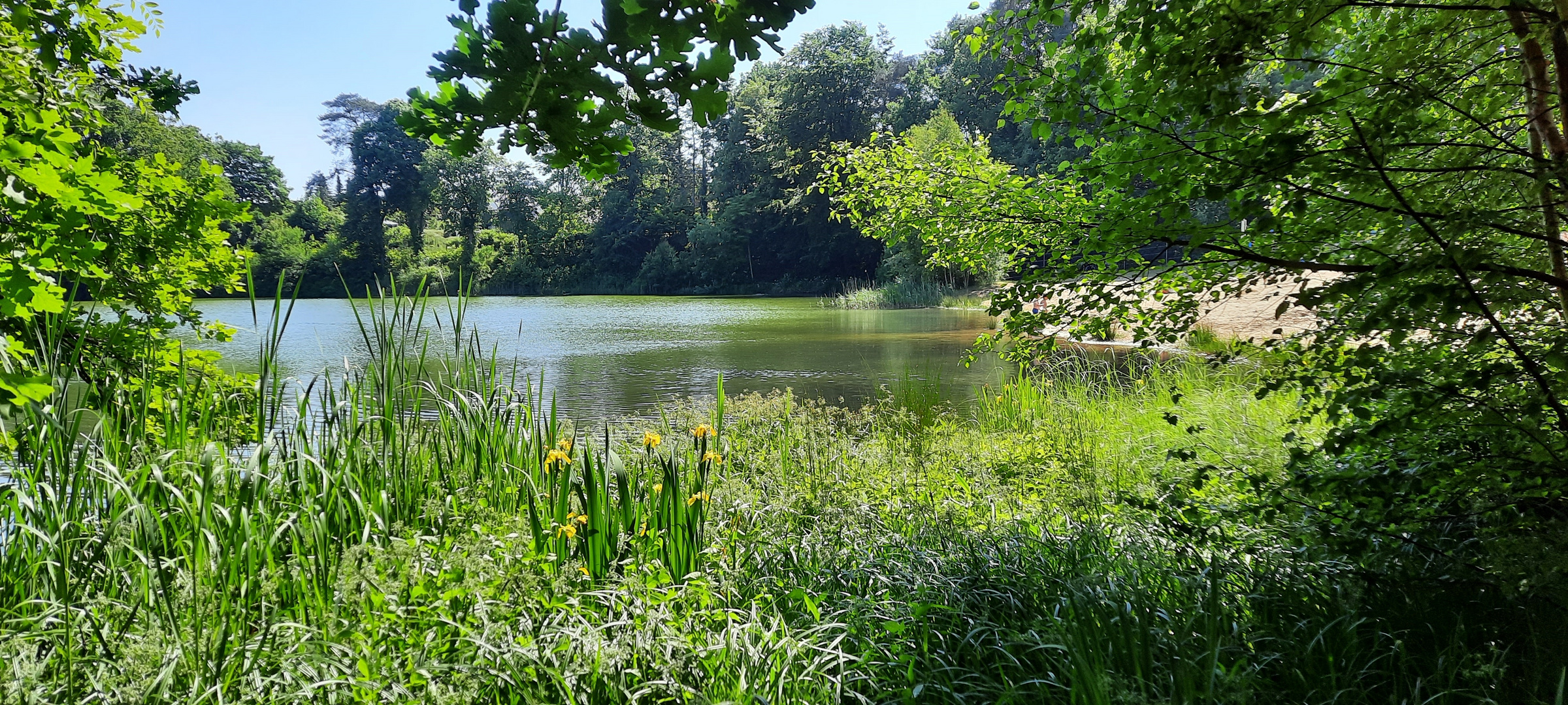 Donnerstag mit Durchblick Foto & Bild | nature, world, spezial Bilder auf fotocommunity