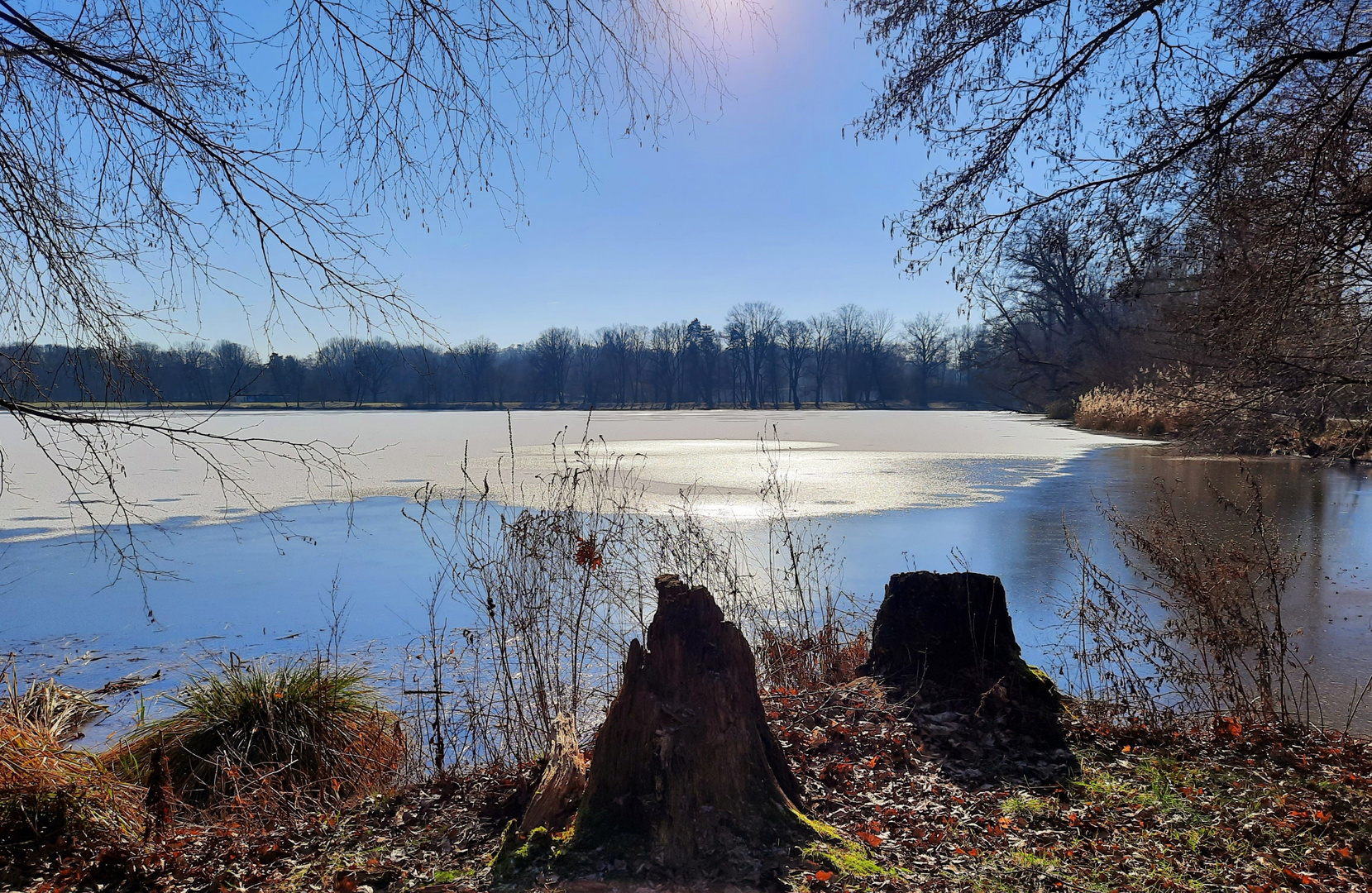 Donnerstag mit Durchblick Foto & Bild | spezial, sonne, winter Bilder auf fotocommunity