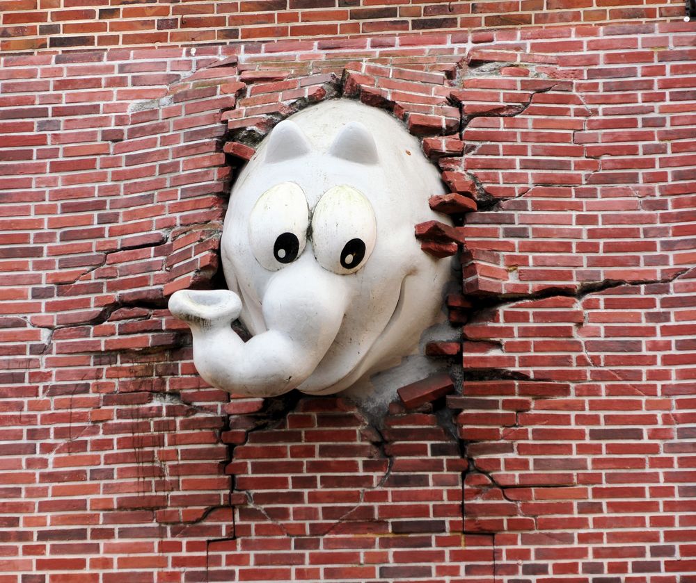 Donnerstag mit Durchblick… Foto & Bild | spezial, durchblick, projekte Bilder auf fotocommunity